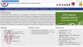 UAN Portal: Guide for UAN Status, Passbook & Account Balance Check - Marg ERP Blog