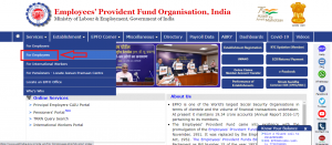 EPFO Login - How to Login into EPFO Member Portal? - Marg ERP Blog