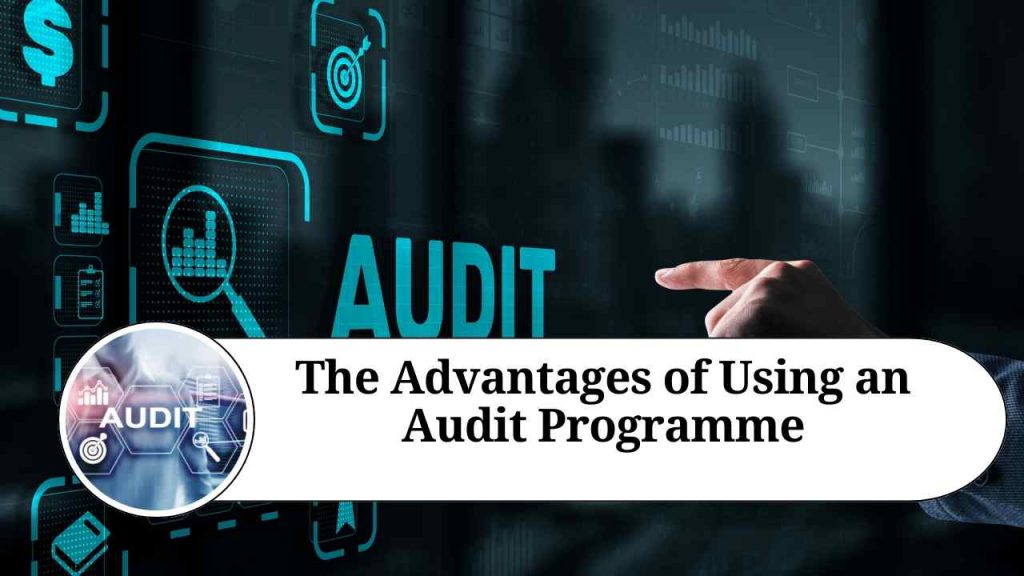The Advantages of Using an Audit Programme - Marg ERP Blog