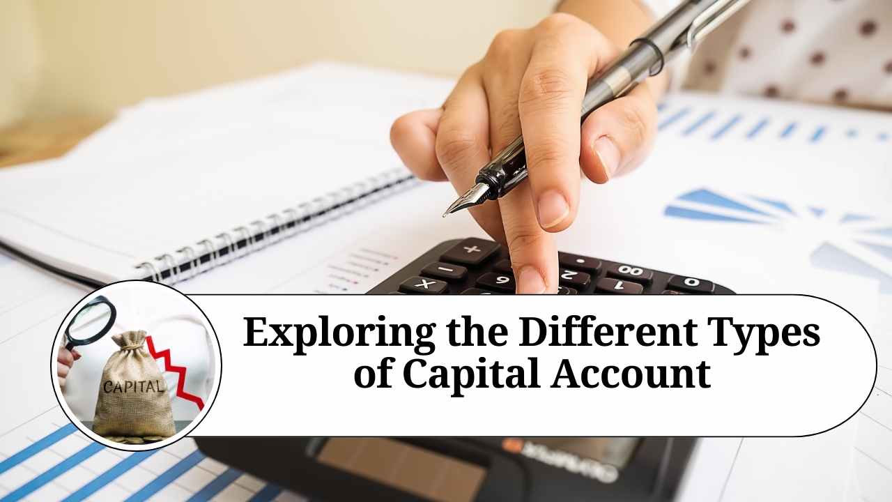 Exploring the Different Types of Capital Account - Marg ERP Blog