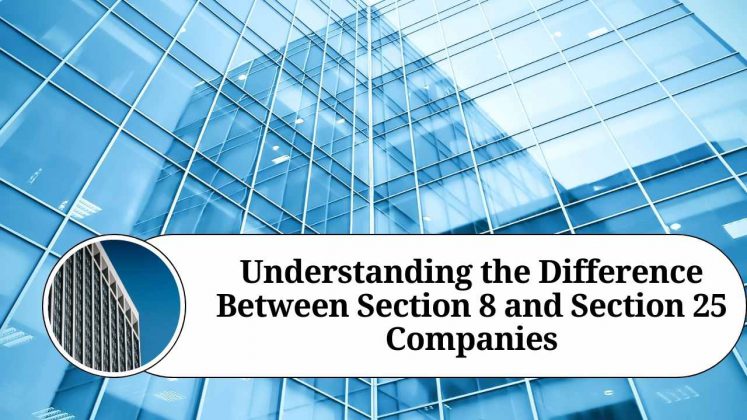 Understanding the Difference Between Section 8 and Section 25 Companies ...