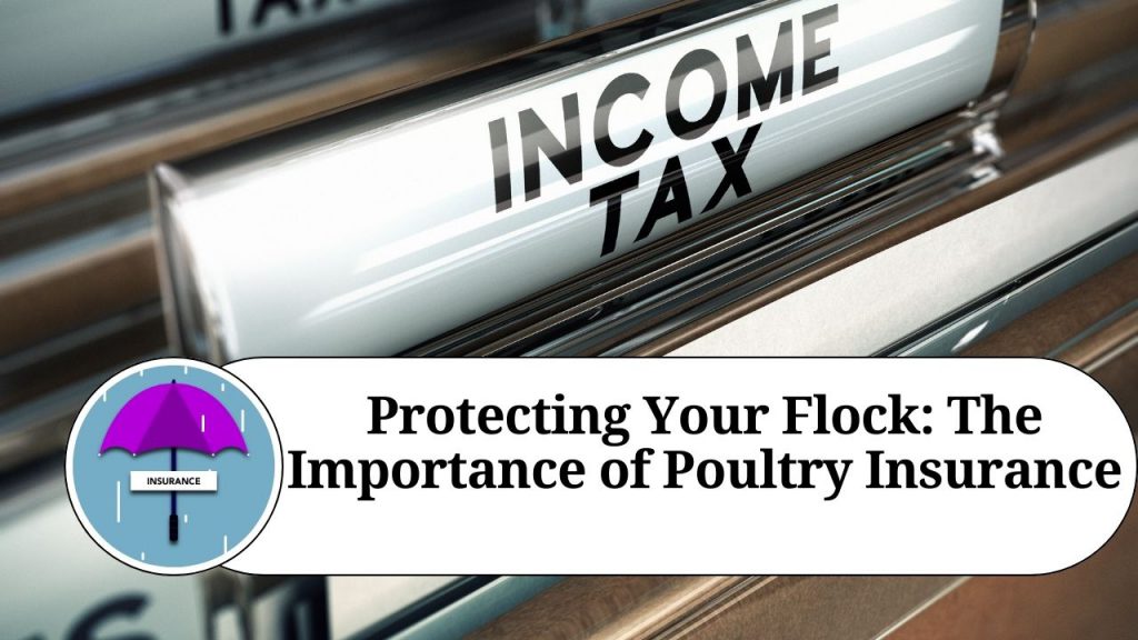 Protecting Your Flock: The Importance of Poultry Insurance - Marg ERP Blog